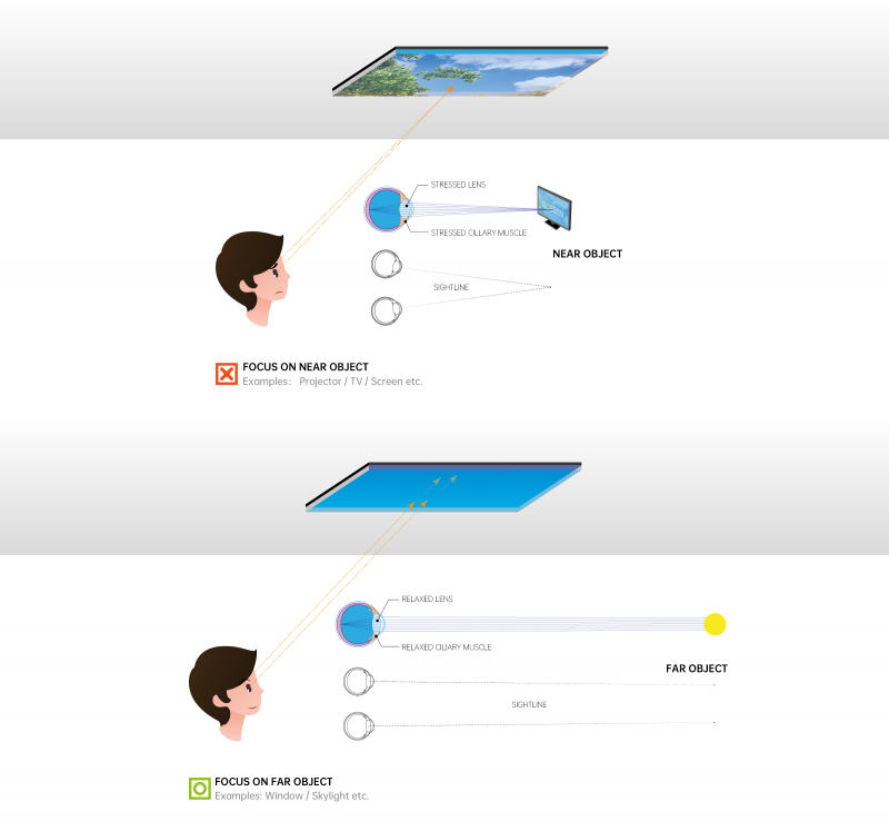 Pesetech Artificial Sky Lights - Enjoy clear sky anytime, anywhere