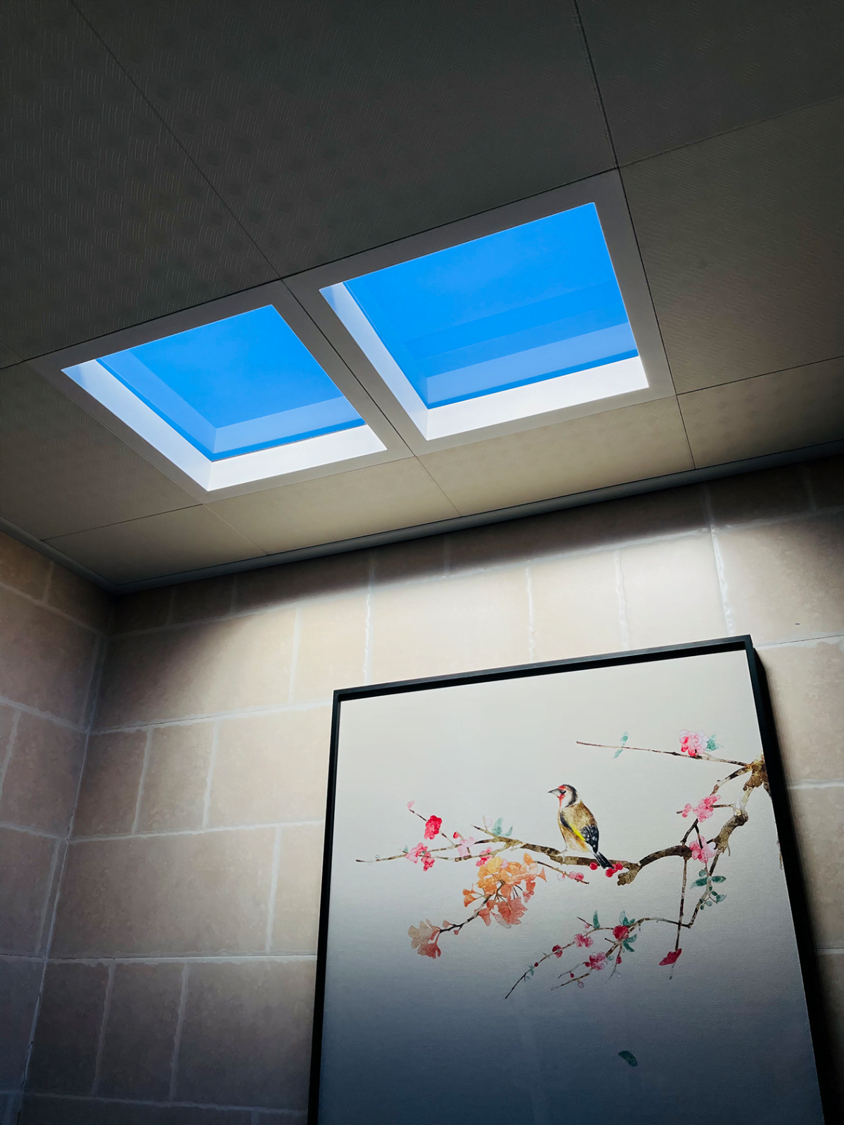 Cost-effective smart Pesetech 1x1ft 300x300mm Artificial Skylight