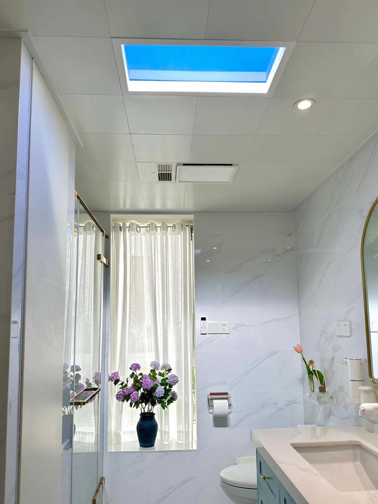 Artificial sky light 60W 300x600mm(1x2ft) - Pesetech Artificial Skylight